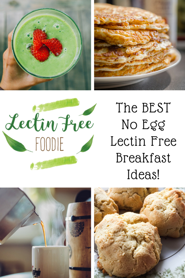5 of My Favorite No Egg Lectin Free Breakfast Ideas